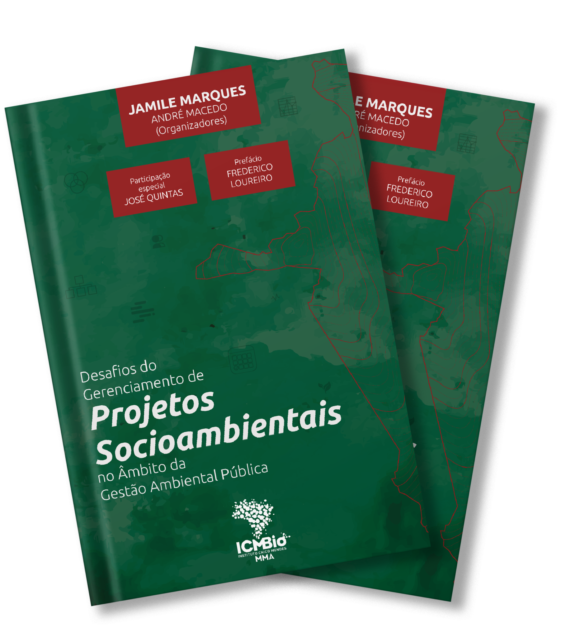 Livro Desafios Projetos Socioambientais – jamilemarques.com.br